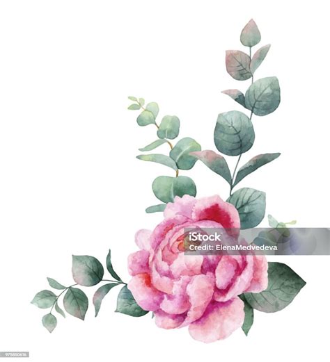 녹색 유 칼 리 나무와 수채화 벡터 화 환 잎 모란 꽃과 나뭇가지 작약에 대한 스톡 벡터 아트 및 기타 이미지 작약 유칼립투스 일러스트레이션 Istock