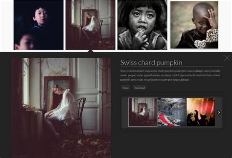 Jquery Responsive Portfolio Plugin