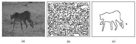 Image Segmentation As Graph Partition A Input Image B Atomic