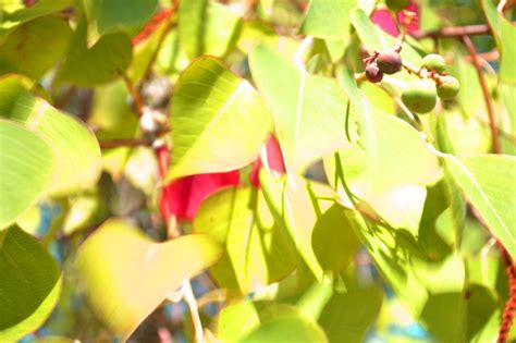 Motion Blur Shutter Speed Escalante Photography