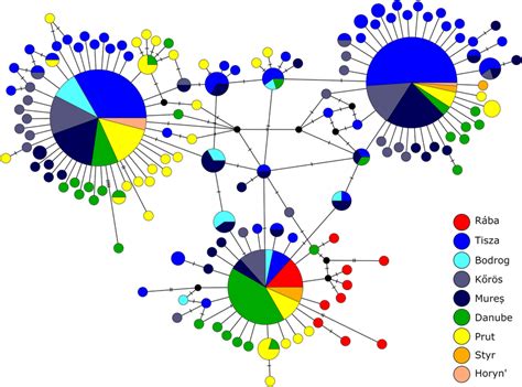 Median Joining Haplotype Network Generated For The Concatenated Dataset