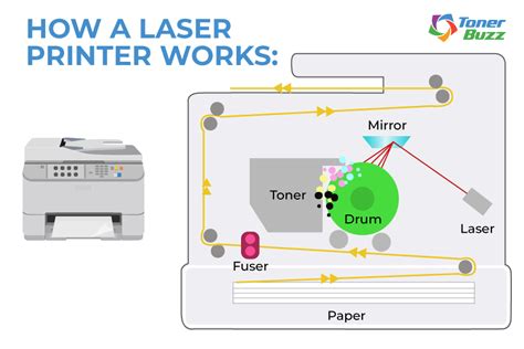Laser Printing Imaging Process At Landon Artis Blog