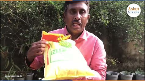 කුසට සාගිනි මේක ඩීල් එකක් කියනකොට එහෙමයි කරනකොට මෙහෙමයි Youtube