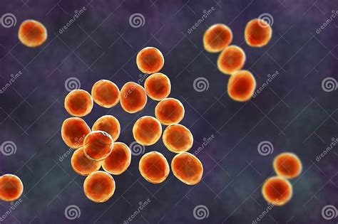 Staphylococcus Bacteria 3d Illustration Stock Illustration Illustration Of Resistance