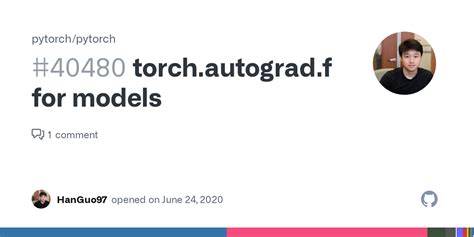 Torchautogradfunctional For Models · Issue 40480 · Pytorchpytorch · Github