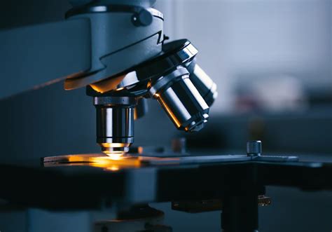 This 60 3d Printed Raspberry Pi Microscope Captures Sub Cellular