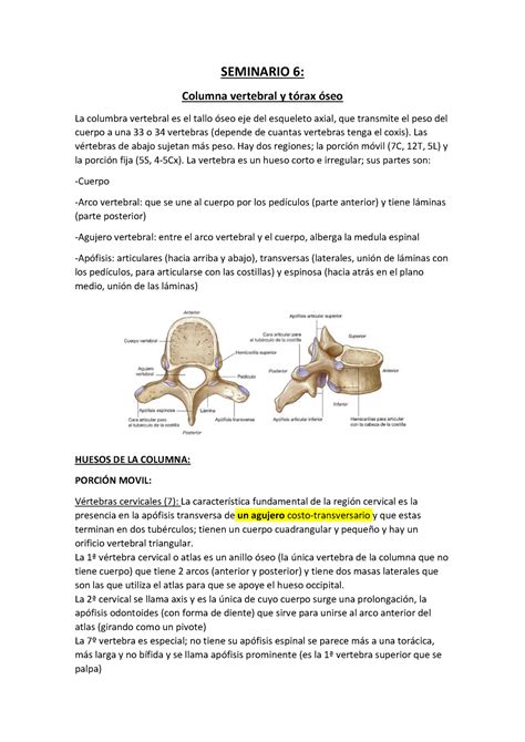 Seminario 6 Apuntes 6 Warning Tt Undefined Function 32 Warning