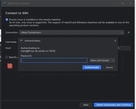 Goland远程开发ide:使用ssh远程连接服务器进行云端编程 阿里云开发者社区 Goland远程开发ide:使用ssh远程连接服务器进行云端编程 阿里云开发者社区