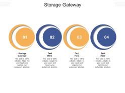 Storage Gateway Ppt Powerpoint Presentation Infographic Template