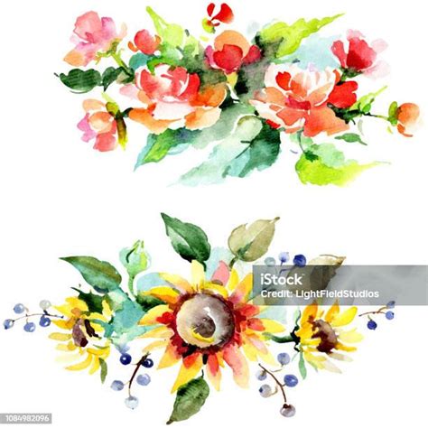 ชุดภาพประกอบพื้นหลังสีน้ําช่อ การวาดภาพสีน้ําแยก ดอกไม้พฤกษศาสตร์ เปลี่ยว ภาพประกอบสต็อก ดาวน์