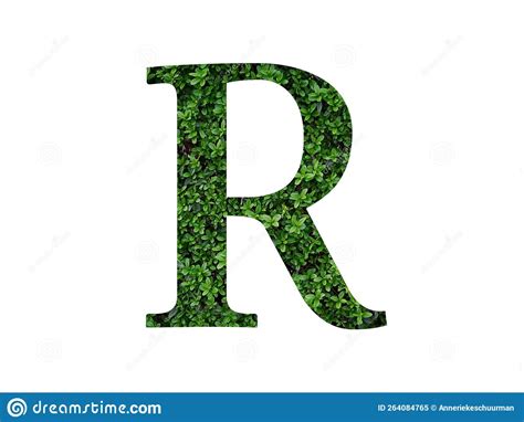 Letter R Of The Alphabet Made With Green Leaves Stock Image Image Of Reduction Word 264084765