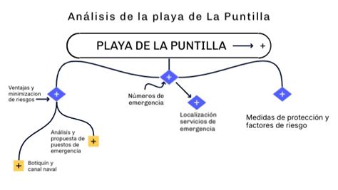 Branching Diagram