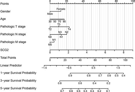 Nomogram To Predict 1 Year 3 Year And 5 Year Overall Survival Each Download Scientific