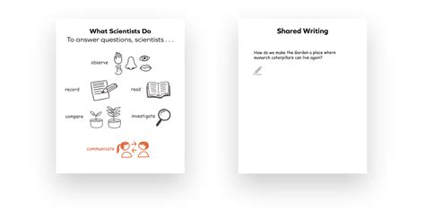 Amplify Science Classroom Slides For Grades K5