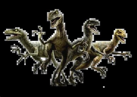 Velociraptor Jurassic Park Wiki Fandom