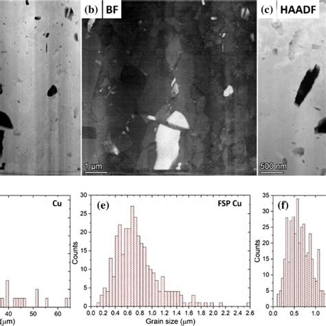 Stem A C Haadf And B Bf Micrographs Of The Processed Zone Showing