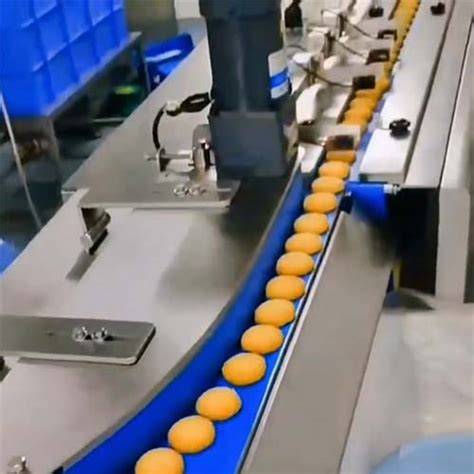 Horizontal Flow Wrap Machine Chlbpack