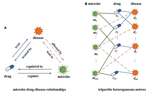 Figure 2 From Metapath Aggregated Graph Neural Network And Tripartite