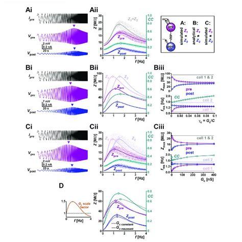 Parameters Of The Coupled Resonant Neurons Download Scientific Diagram