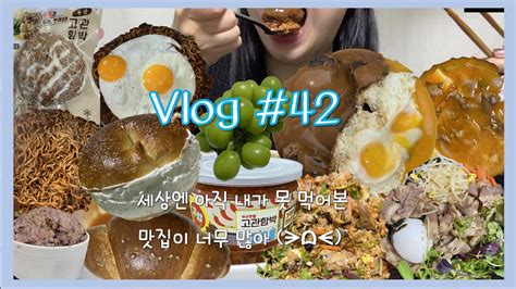 먹방vlog 구독자이벤트결과발표 173cm74kg의 폭식브이로그함박스테이크만능고추장소금빵크림베이글샤인머스켓우