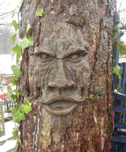 Tree Face Plaque Great Things To Buy