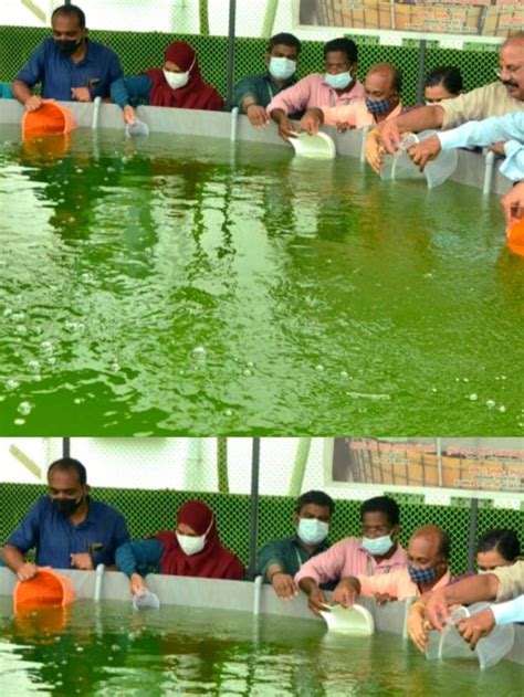 यूट्यूब पर सीखी मछली पालने की नई तकनीक अब महिला कर रही लाखों की कमाई