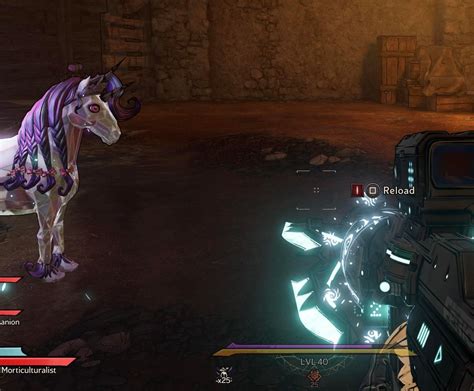 Is This A Bug R Wonderlands