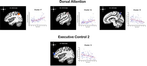 Clusters With Statistical Relationships To Age For The Download Scientific Diagram