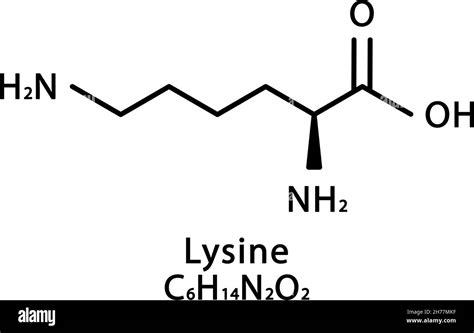 Lysine Structural Formula