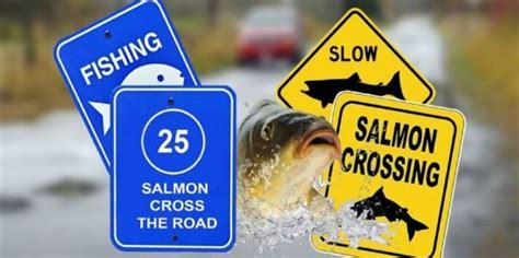 Що означає дорожній знак риба переходить дорогу Читайте на Ukr Net