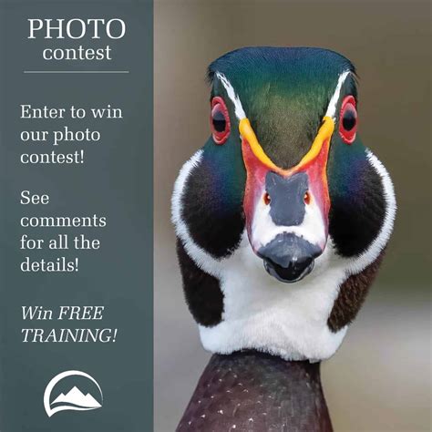 Nrtgphoto Contest Natural Resources Training Group