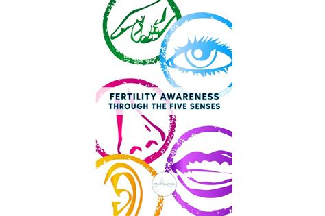 Fertility Awareness Through The Five Senses E Book — Learn Body Literacy
