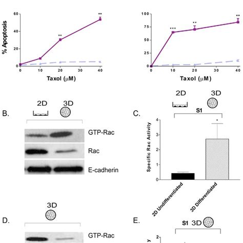 Pdf Alpha 6 Beta 4 Integrin Regulates Keratinocyte Chemotaxis Through Differential Gtpase