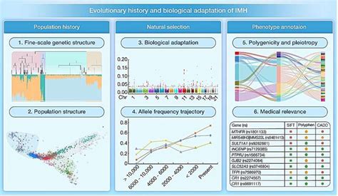 Research Team Reconstructs Evolutionary History And Biological