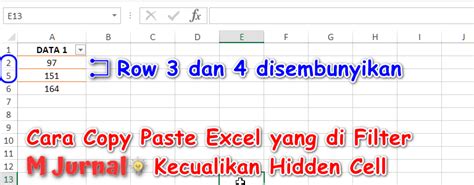 Cara Copy Paste Kolom Excel Yang Di Filter Hidden Cells M Jurnal