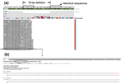 sequence reads gdc docs