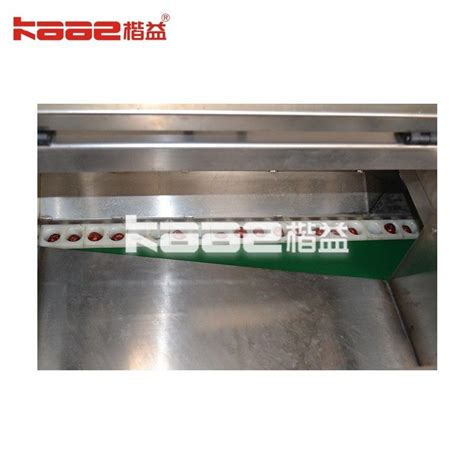 sus304 stainless steel jujube dates processing machine with sorting and
