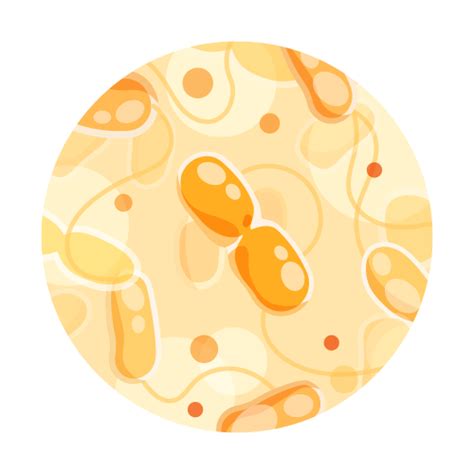 What Do Hpc Test Results Actually Mean Simplelab Tap Score