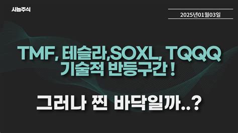 Tmf 테슬라 Soxl Tqqq 기술적 반등구간 그러나 찐 바닥일까 Youtube