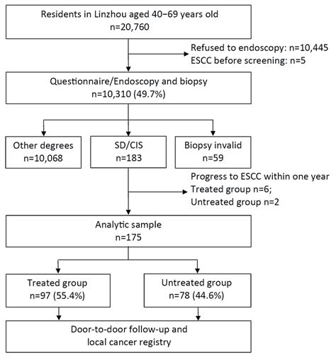 Flowchart Of Severe Dysplasiacarcinoma In Situ Sdcis Download