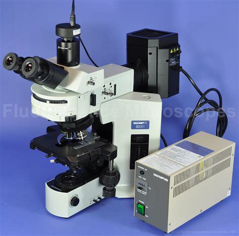 Fluorescence Imaging