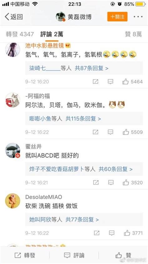 黃磊幫小h狗崽征名，網友神回復，黃爸爸真是為狗崽操碎了心！ 每日頭條