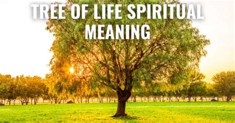 Tree Of Life Spiritual Meaning 7 Insights For Growth
