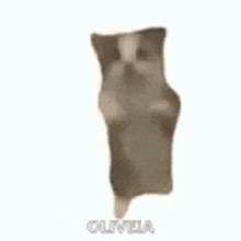 Happy GIFs Tenor