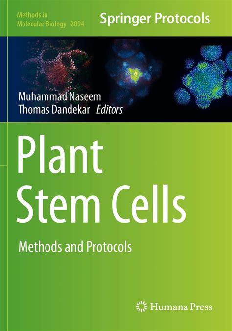 Plant Stem Cells Methods And Protocols Methods In Molecular Biology Naseem Muhammad