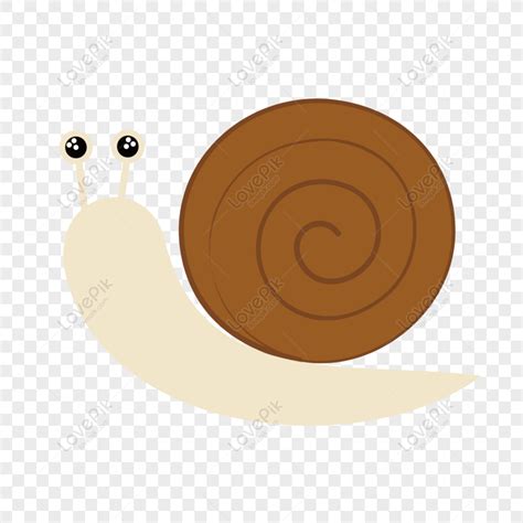 귀여운 달팽이 요소 디자인 Png 일러스트 무료 다운로드 Lovepik