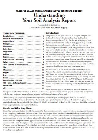 31 SAMPLE Analysis Report Templates In PDF MS Word 31 SAMPLE Analysis Report Templates In PDF MS Word