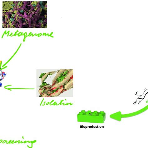 Different Modern Approaches For Bioexploration Of Enzymes For Recycling