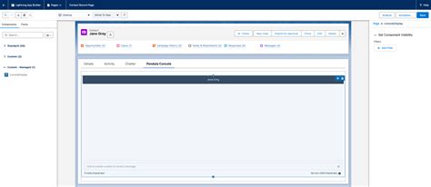 How To Add The Pendula Console Component To Salesforce Record Pages Pendula For Enterprise