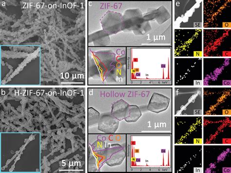 Ab Sem Images Cd Tem Images Line‐scan Profiles And Eds Spectra Download Scientific